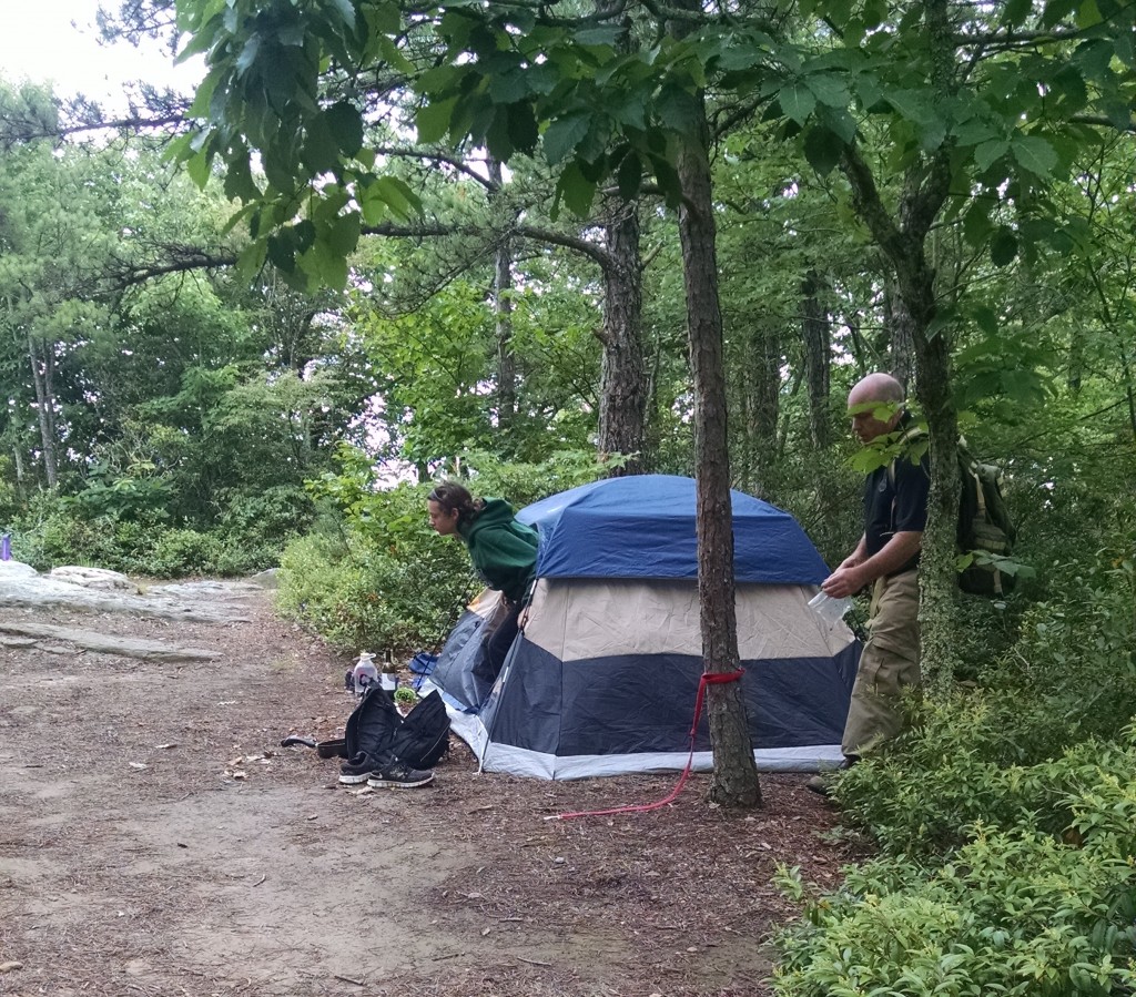 McAfee Task Force adds new volunteers, celebrates growth - Roanoke ...